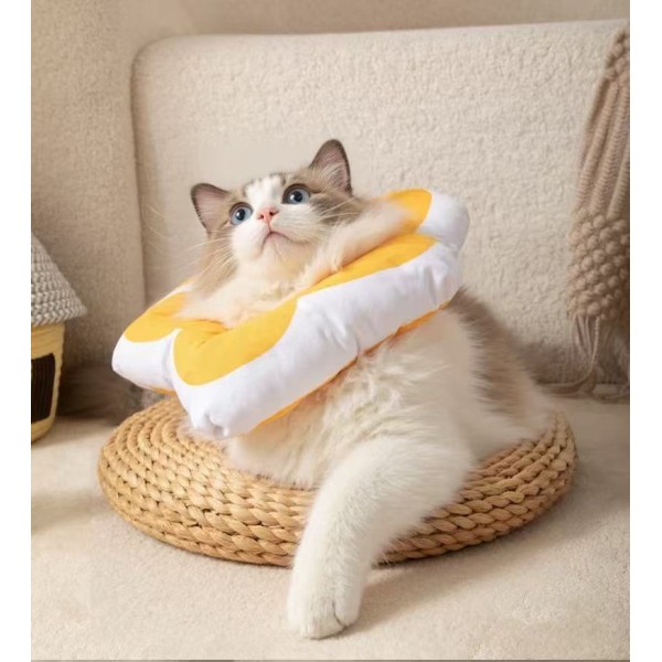 Quality Post-Surgery Recovery E-Collar for Cats & Dogs - Adjustable Soft Cone with for sale