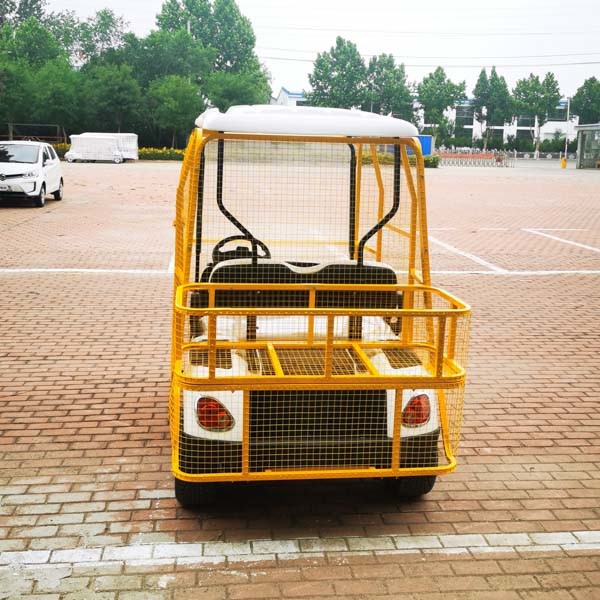 Quality CAll Terrain Mini 2 Seater Golf Cart 2 Seats Customized for sale