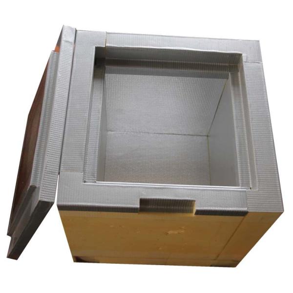 Quality 42L Insulated Bio Medical Cool Box Blood Transportation Bag for sale