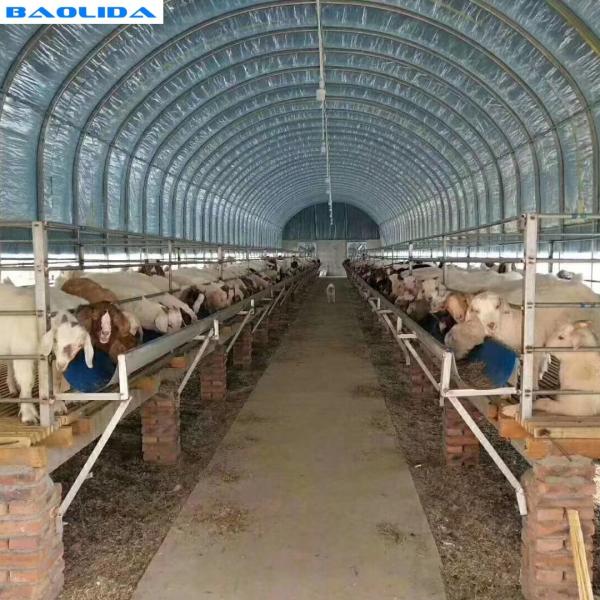 Quality Hot-dip Galvanized Steel Poultry Film Tunnel Greenhouse Waterproof Sheep for sale