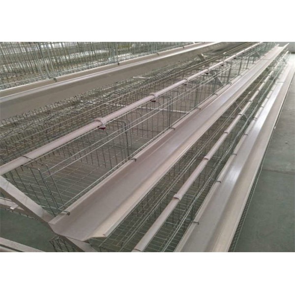 Quality A Type RTL Chicken Cage / 3 Tier 5 Doors Galvanized Layer Poultry Cage For for sale