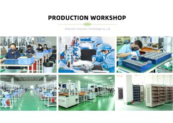 China Factory - Shenzhen Passional Technology Co.,Ltd