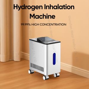 Quality Hydrogen Inhalation Machine for sale