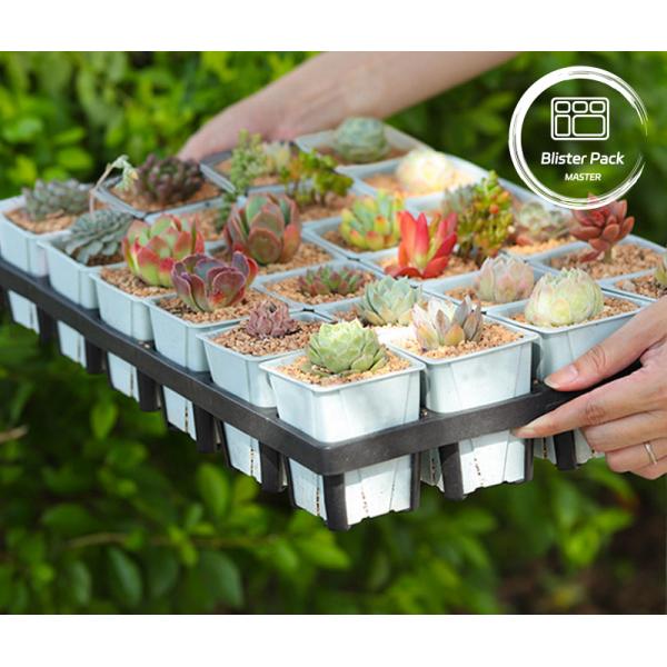 Quality Durable Plastic Planter Tray 24 Hole Succulent Nursery Pot Cultivation Tray for Garden for sale