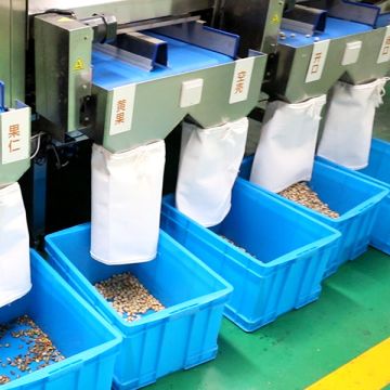 Quality 1 Ton High Capacity Pistachio Nuts Sorting Machine Stainless Steel for sale