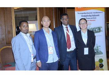 China Factory - Shijiazhuang Julite Machinery Co.,LTD