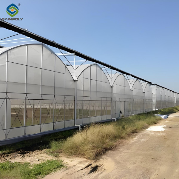 Quality Sainpoly Large Commercial Greenhouse With Hydroponic Growing System for sale