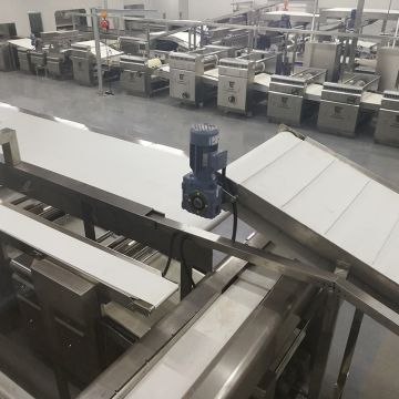 Quality Industrial Complete Cookies / Hard Biscuit Production Line Automatic for sale