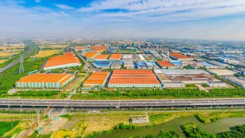 China Factory - Longteng Special Steel Group