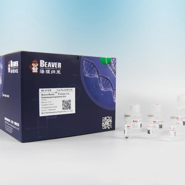 Quality 22203 Protein A/G Immunoprecipitation Kit With Flexible Simple Operation for sale