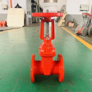 Quality GGG40 PN16 Resilient Seated Gate Valve Exclusively Used For Drinking Water for sale