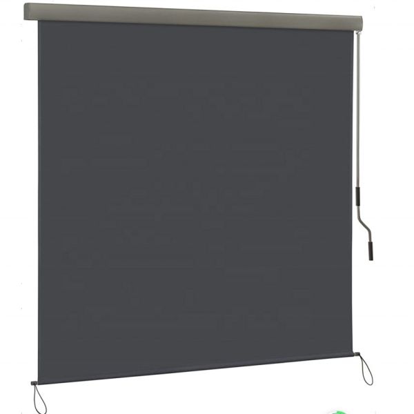 Quality Sun and Privacy Protection Extendable Outdoor Roller Blind with Hand Crank Mechanism for sale