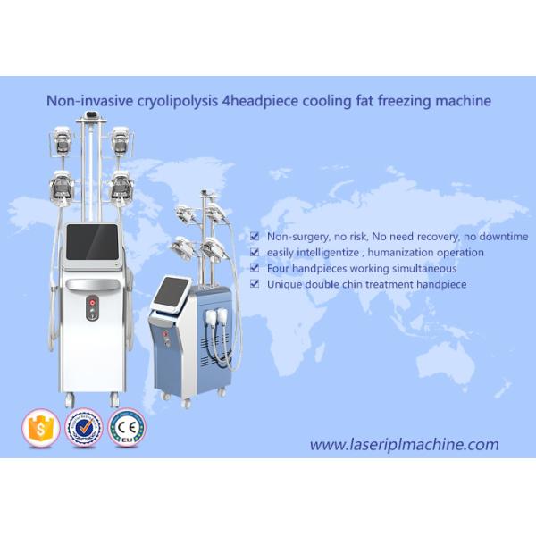 Quality Cryolipolysis Fat Freezing loss Slimming Machine Vacuum Cavitation Rf Machine for sale