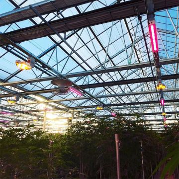 Quality LED Light Deprivation Greenhouse With Shading And Security System for sale