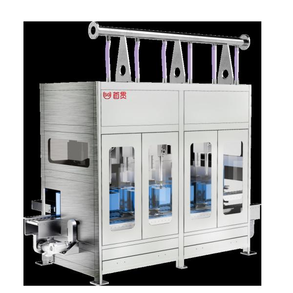 Quality LCS-PD2 Belt Type Double Bucket Granule Filling Machine Plastic Particles for sale