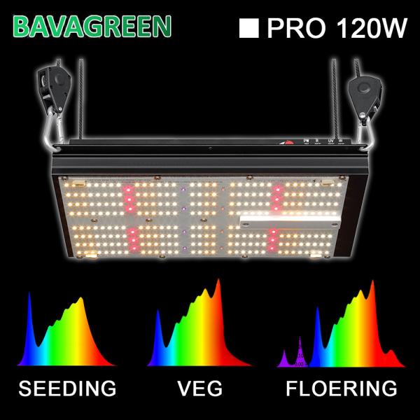 Quality 120W 3000k 5000k UV IR RED LM301B Quantum Board Meanwell Driver for sale