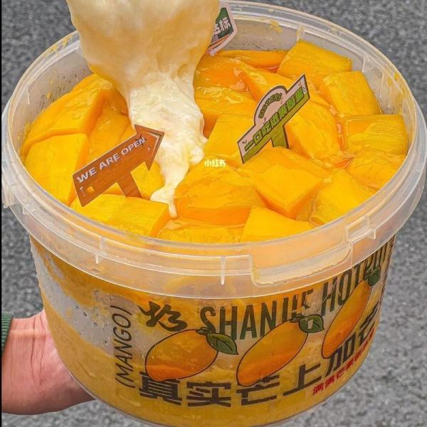 Quality Customize Plastic Container Small Plastic Bucket with 500ml Capacity and Accessories for sale