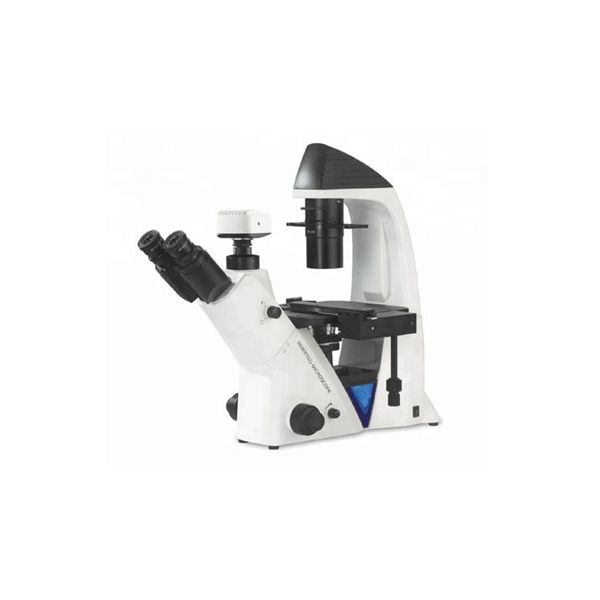 Quality Biological 40X Inverted Optical Microscope WF10X/22mm Trinocular for sale