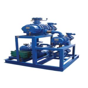 Quality 3 Phase 380V Sk 2sk 2be Liquid Ring Vacuum Pump for sale