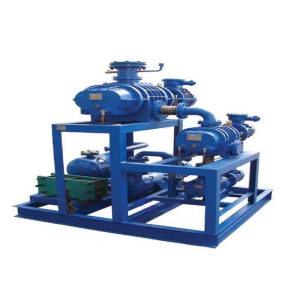 Quality 3 Phase 380V Sk 2sk 2be Liquid Ring Vacuum Pump for sale