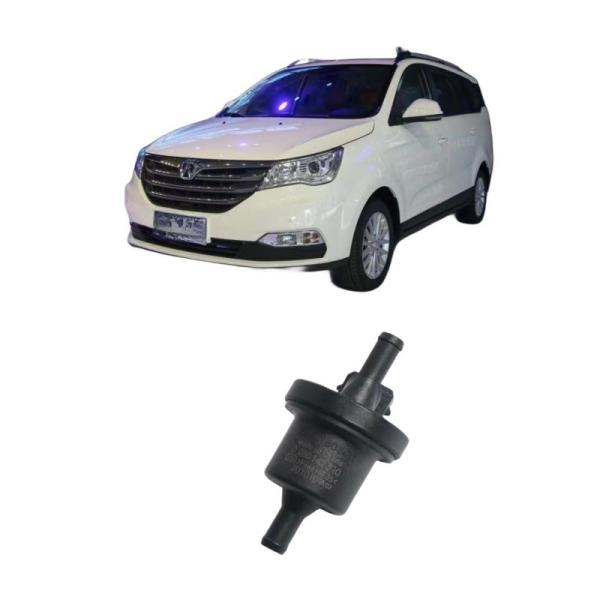 Quality BAIC WEIWANG M35 306 307 M20 M30 205 206 M50F M35M60S50 Carbon Tank Solenoid Valve for sale