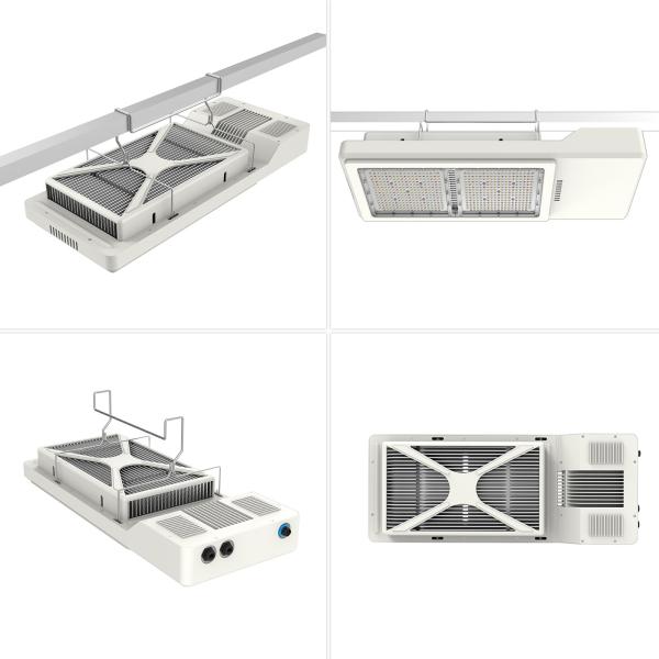 Quality HPS Replacement Economic Greenhouse Lighting System For Horticultural Cultivatio for sale