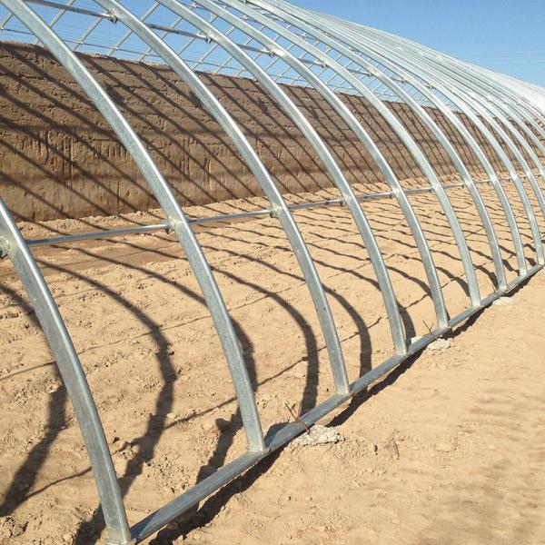 Quality Vegetable Fruits Flowers Winter Sunlight Solar Greenhouse Chinese Style for sale