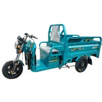 Quality 3 Wheel Electrically 60v 30Ah Solar Assisted Tricycle for sale