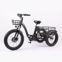 Quality High Capacity Family Cargo Bike with Torque 80-90 Nm and Rear Carrier Battery for sale