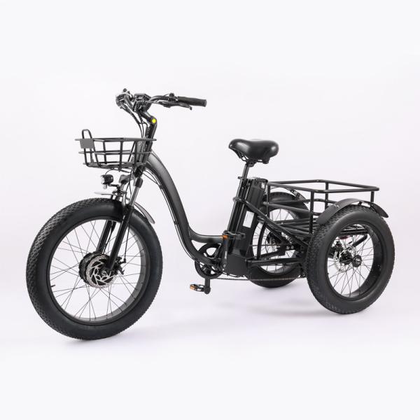 Quality High Capacity Family Cargo Bike with Torque 80-90 Nm and Rear Carrier Battery Position for sale