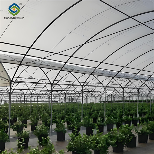 Quality Multi Span Blueberry Planting Fruit Growing Greenhouse With Irrigation System for sale