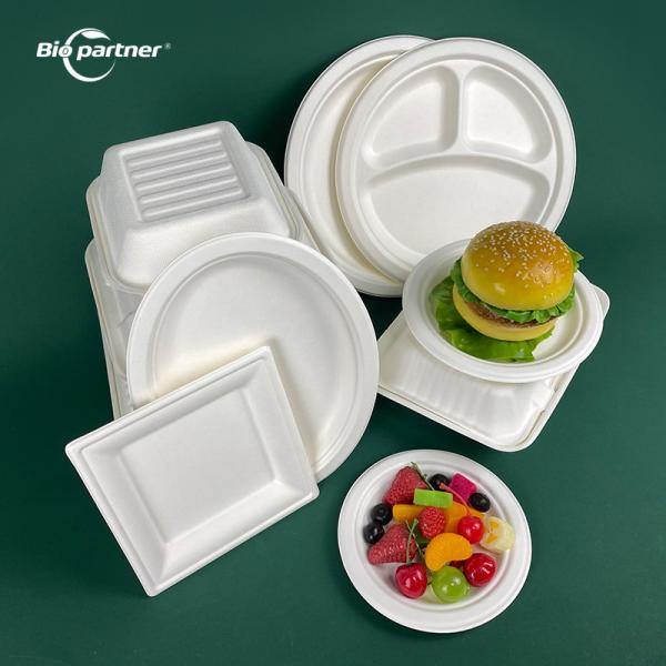 Quality Biodegradable Burger Lunch Box 3 Compartment Takeaway Bagasse Pulp Food for sale