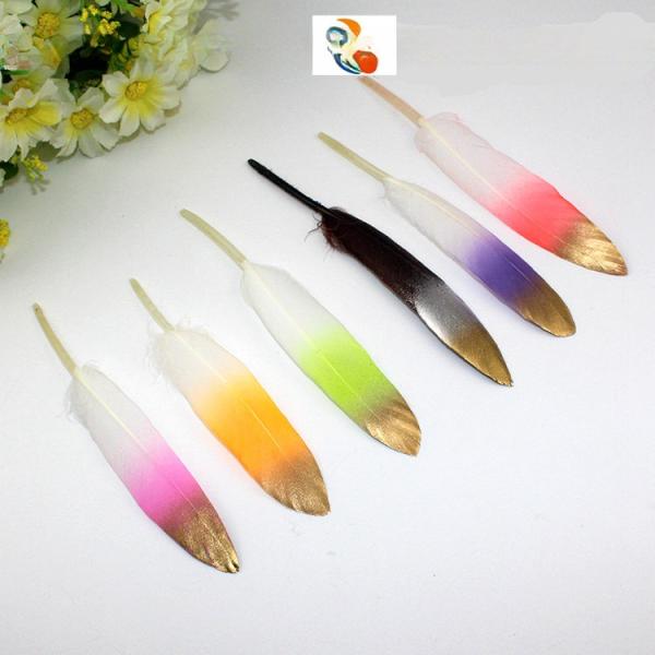 Quality 5-6inch Two Tones Millinery Feather , Colored Turkey Feathers For Fashionable for sale