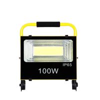 Quality 140LM/W LED Flood Light With Triac Dimmable Or 0-10V Dimmable, Low Voltage for sale
