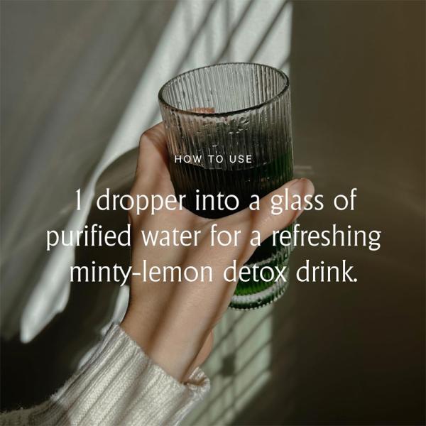 Quality DETOX DROPS (Chlorophyll) – Lemon & Mint Flavored Dietary Supplement for sale
