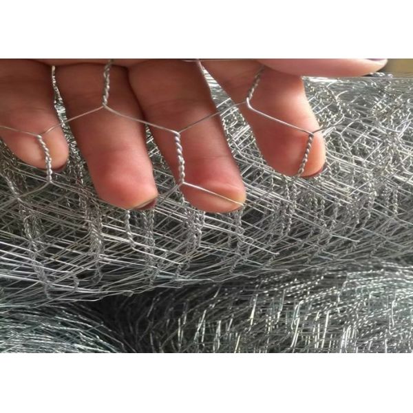 Quality PVC Coated Or Galvanized Hexagonal Chicken Wire Mesh For Poultry for sale