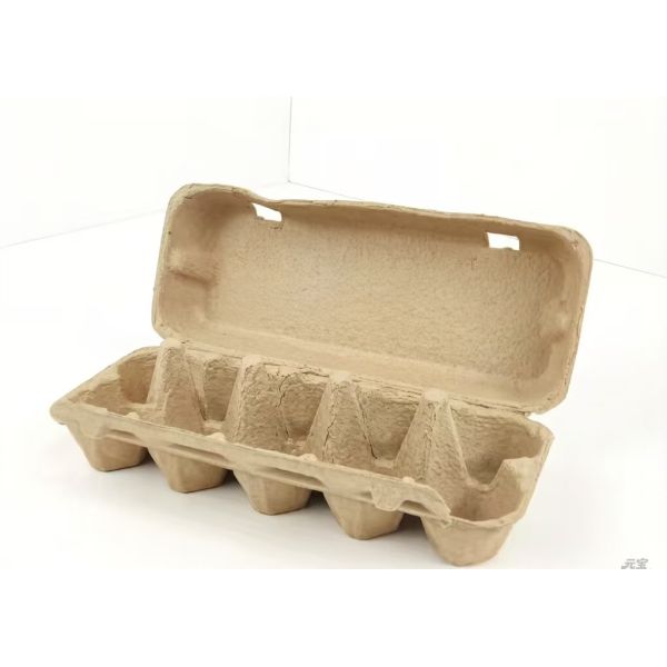 Quality Paper Pulp Tray: Eco-Friendly and Reliable Packaging Solution for sale