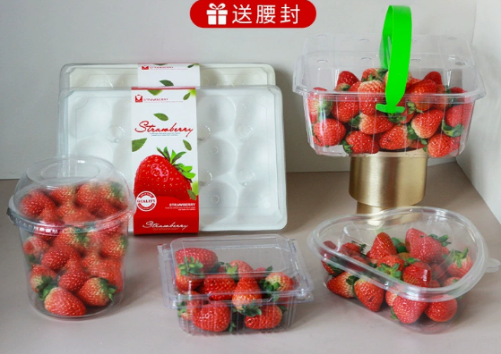 Quality Customized Recyclable PET Tomato Packaging Box with Heat Sealing for Perfect for sale
