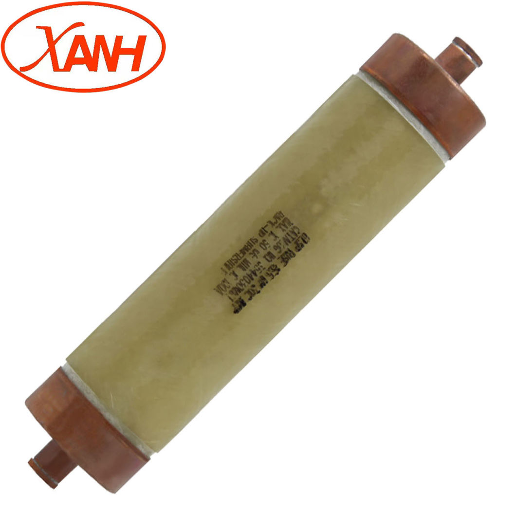 Bay-O-Net Tap Changer Switch Fuse for Oil Transformer Xrnt4-15.5/125