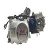 china Silver DAYANG LIFAN 125CC Nature AIR-cooled Motorcycle Engine Assembly 3 Wheel