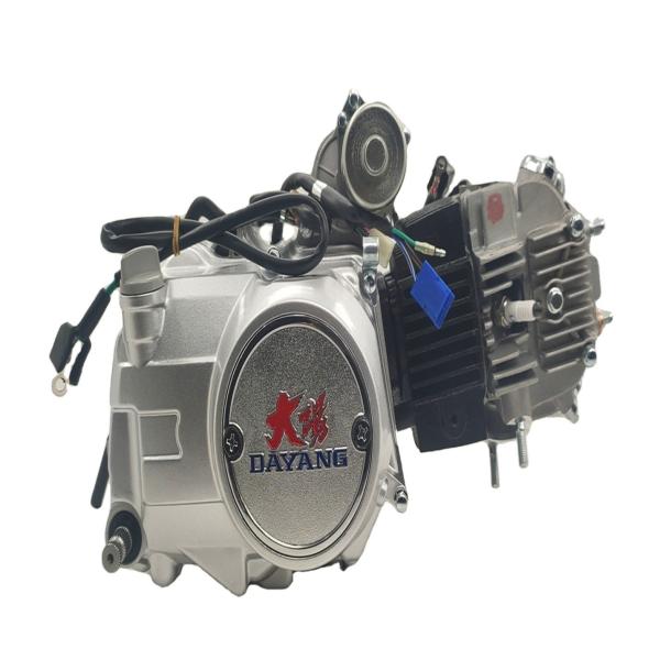 Quality Silver DAYANG LIFAN 125CC Nature AIR-cooled Motorcycle Engine Assembly 3 Wheel Cargo Tricycle Single Cylinder Style Origin for sale