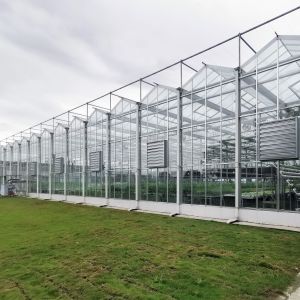 Quality Multi-Span Greenhouse Duble Plate Glass Galvanized Greenhouse Structure Glass for sale
