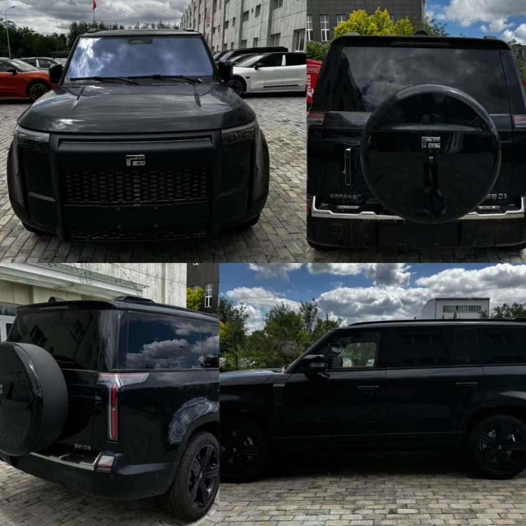 Polar Stone 01 2023model Premium 6 Seats Version