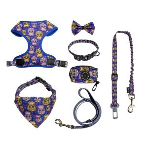 Quality Collar Leash Harness Set for sale