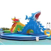 Quality 14*18m Inflatable Water Park with 1200w Blower and 1-20 People Capacity Dragon for sale