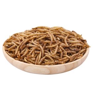 Quality Original Taste dried Tenebrio molitor/dried mealworms/bread worms for sale