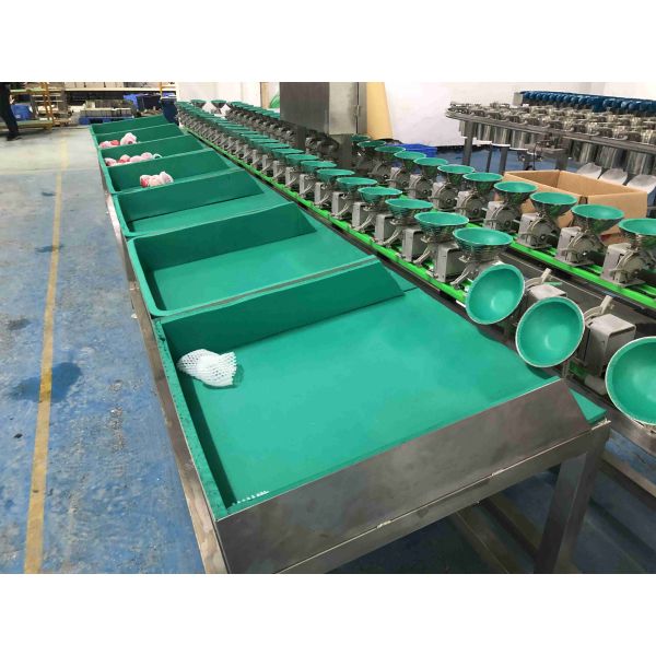 Quality SUS 201 Tray Fruit Sorting System for sale