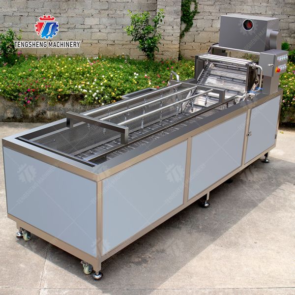 Quality Leaves Vegetables Onions Leafy vegetables Cabbage varieties Herbs Fruiting for sale