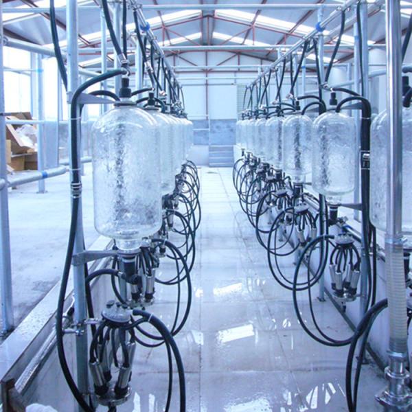 Quality Automatic Glass Milk Measure Herringbone Milking Parlor System for sale
