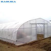 China Gothic High Tunnel Vegetable Film Hydroponics Single-Span Greenhouse Construction factory